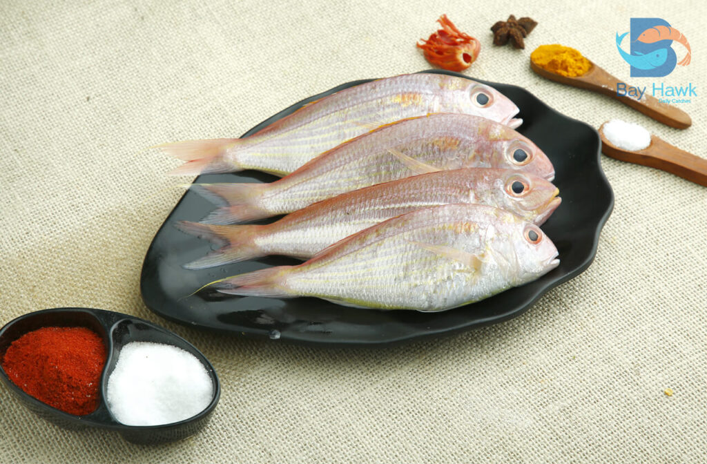 Red Snapper | சங்கரா – BayHawk